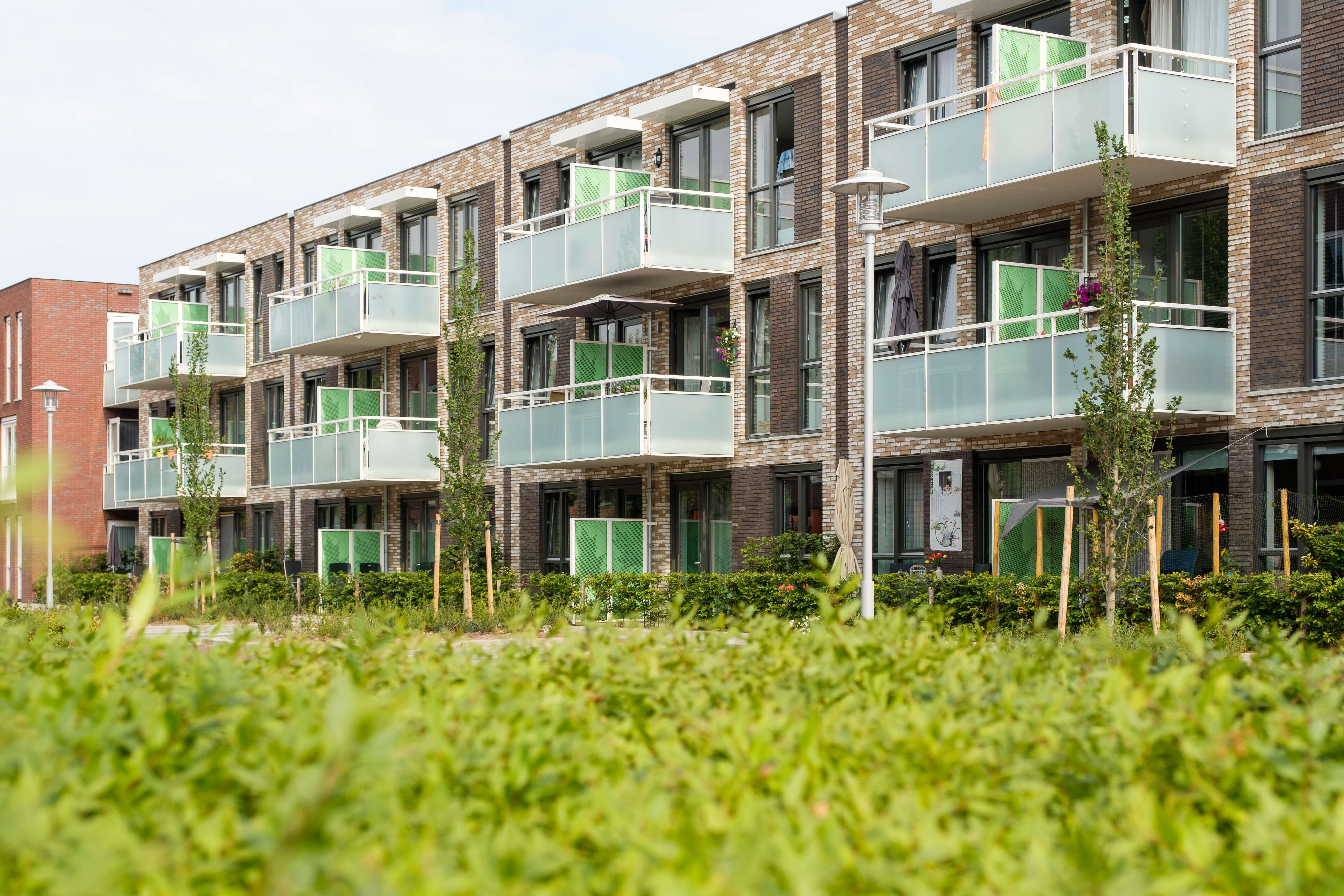 Projectmanagement - TBVA